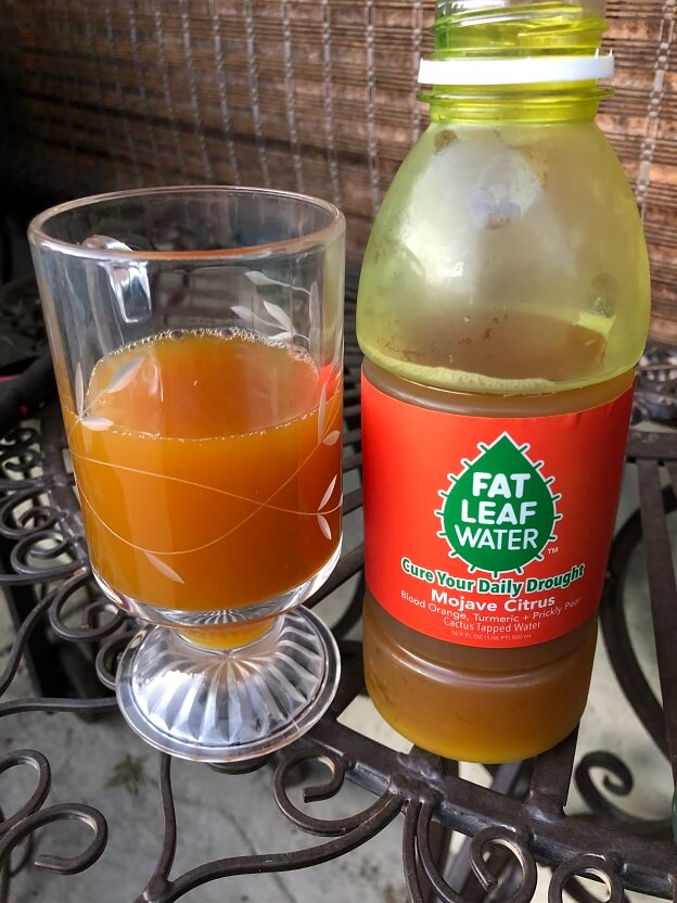Refresh with Cactus Water-Based Sports Hydration Beverage - A Midlife Wife